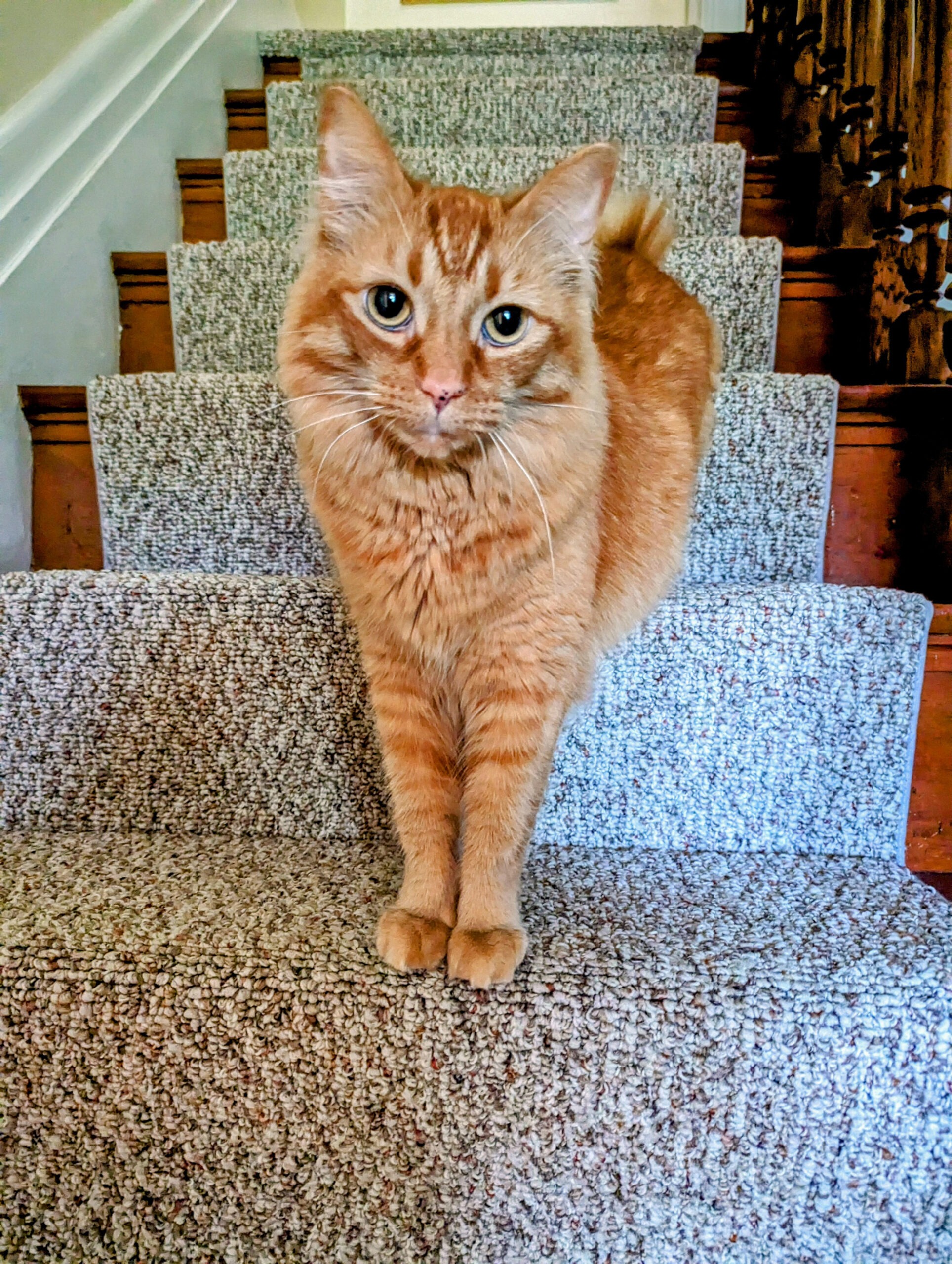 Bed & Breakfast Kentucky | Farmhouse B&B With Horseback Riding